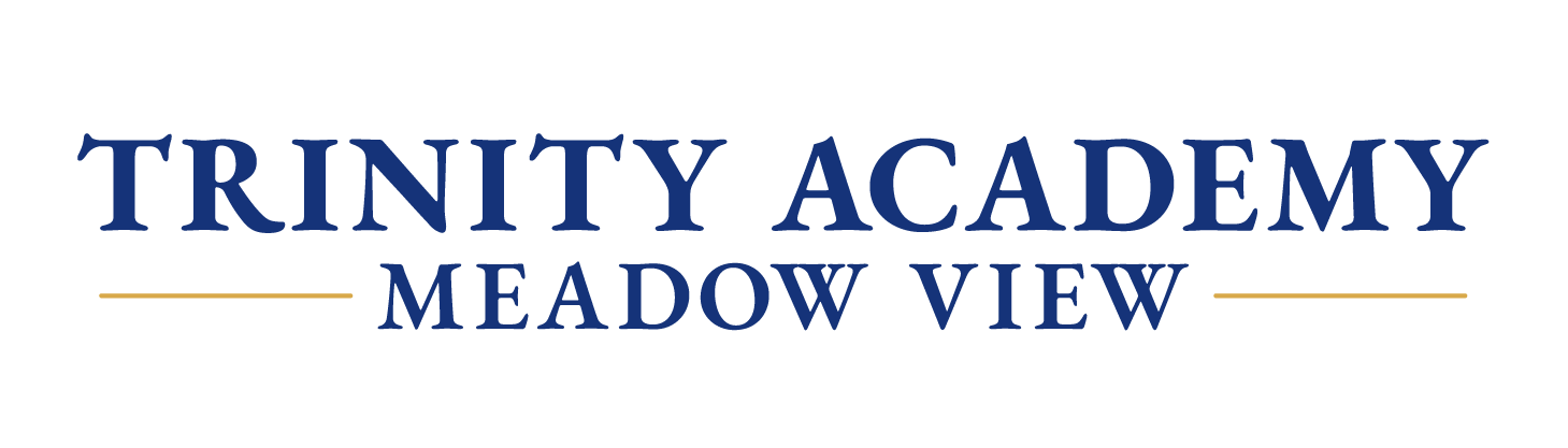 Trinity Academy Meadow View